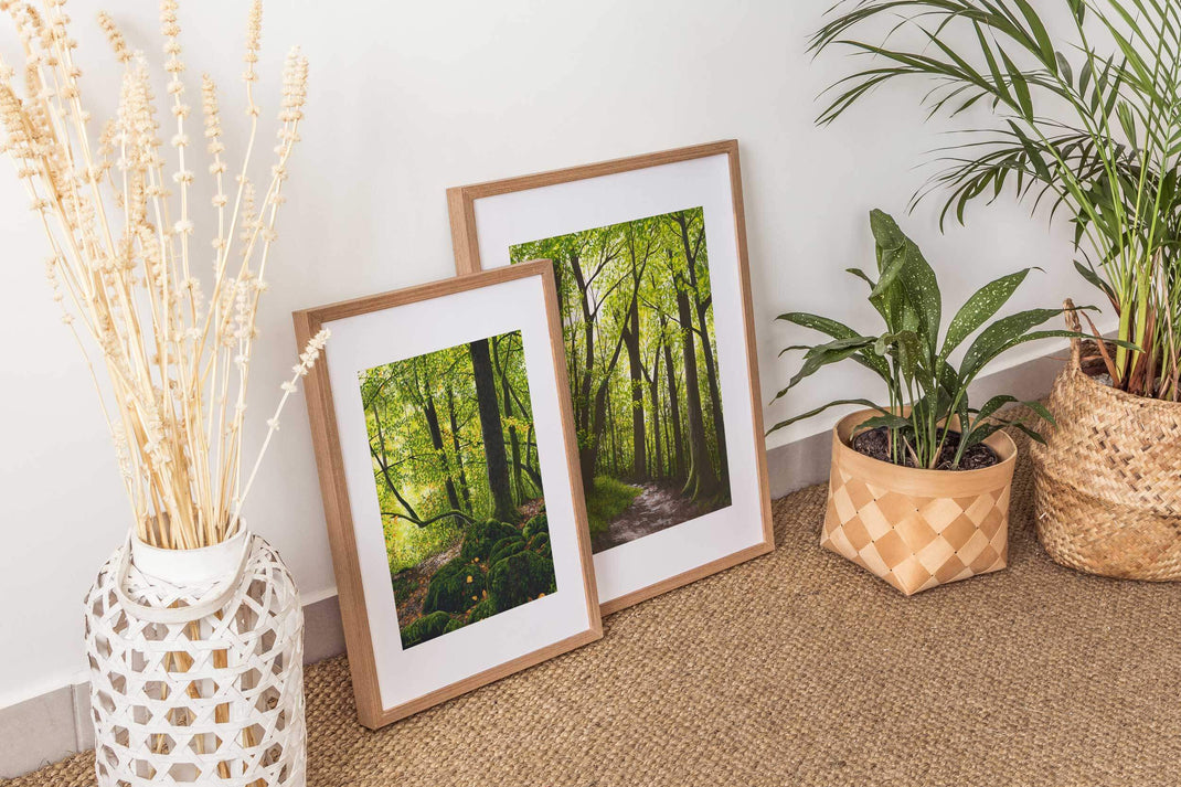 Forest Landscape Prints – Kate Broadhurst Studio